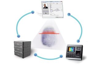 Biometric | Apollo Security